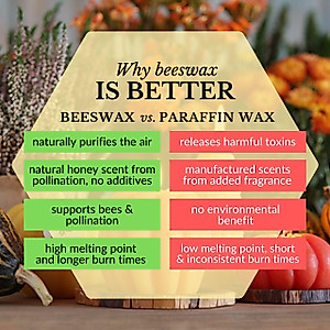 Big Dipper Wax Works Small Dark Orange Pumpkin Candle, 20-Hour Long Burn, Pure Beeswax Sculpted Candle, 3” x 2”, Fall Candle