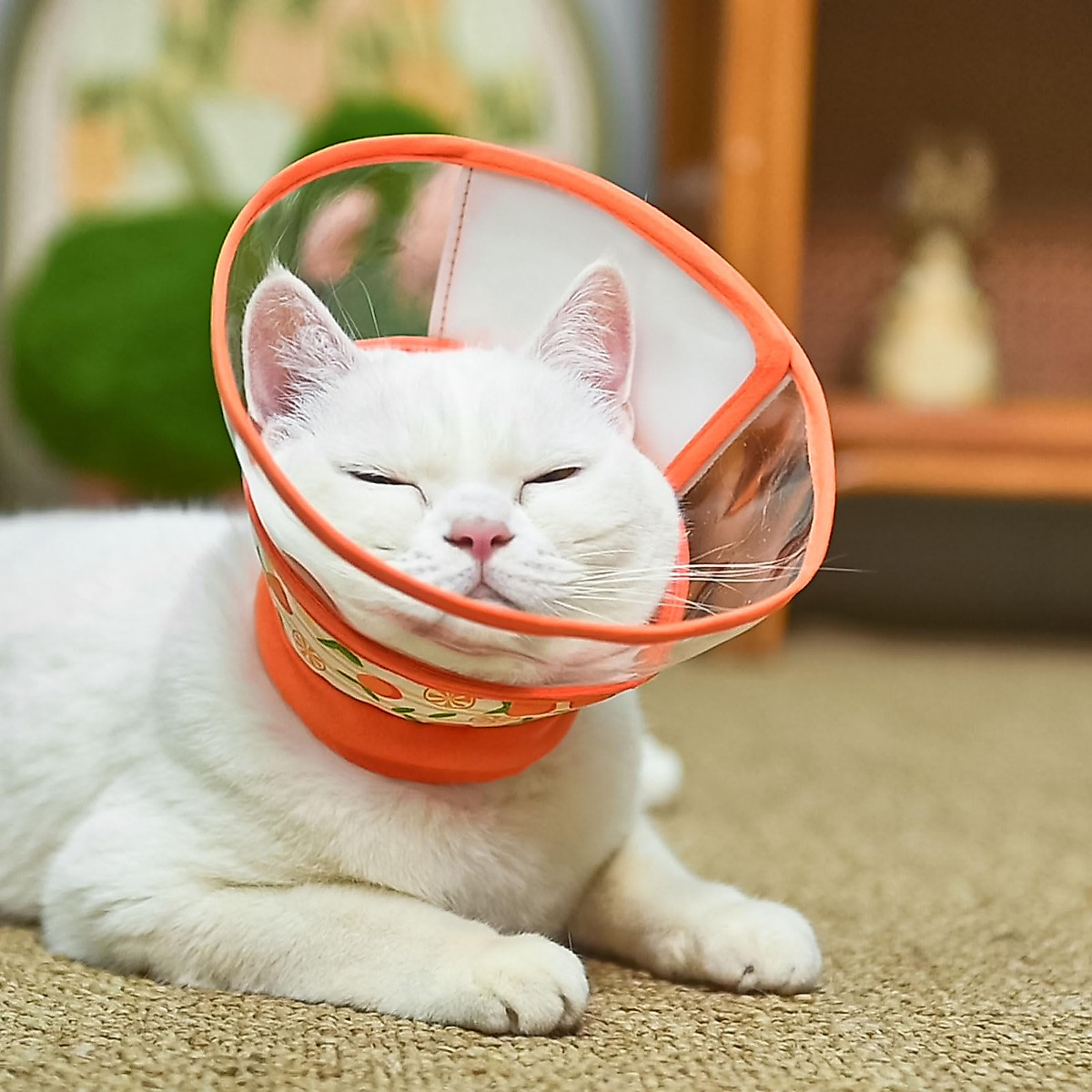 PUPTECK Cat Cone Collar Soft for Neck, Cat Recovery Collar to Stop Licking After Surgery, Adjustable Elizabethan Pet Collar for Small Medium Cats Kittens, Orange, S