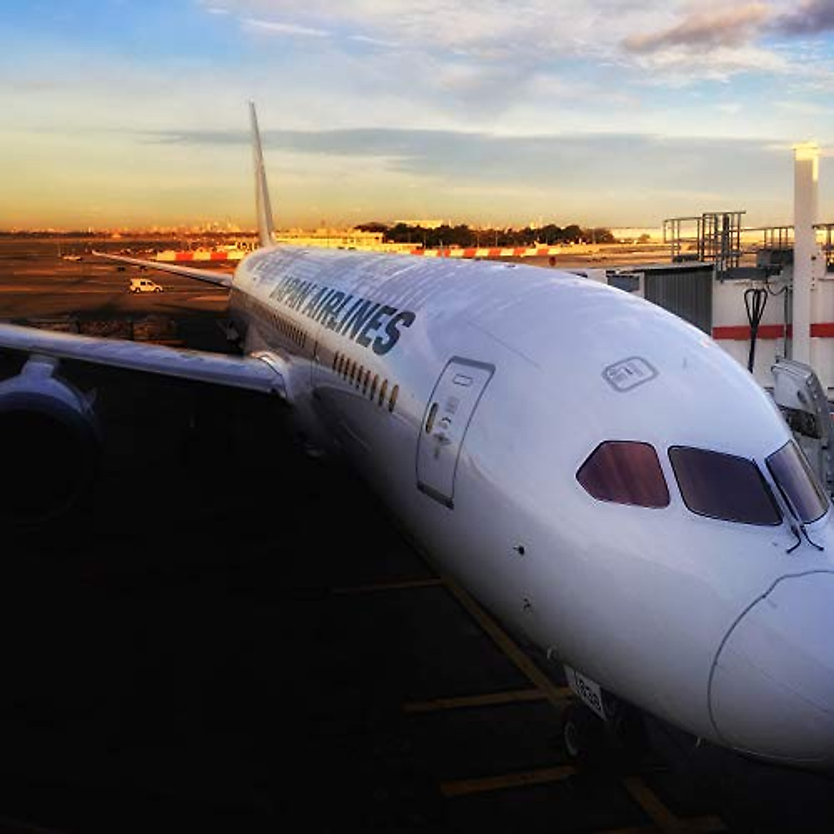 Kenko REAL PRO Multi-Coated Glass REAL PRO 0.4x Super Wide Angle Clip Lens for Mobile Devices, Black (KRP-04SW)