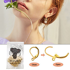 TOAOB 200pcs French Earring Hooks Leverback Ear Wire 10x15mm Silver and Gold Plated Metal Brass Hypoallergenic Earring Supplies Jewelry Making Findings