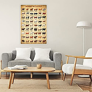 BASYEEO Breeds of Cattle Poster,Common Breeds of Beef and Dairy Cows, Animal Poster Farmhouse Wall Art Prints Unframed 12x18inch