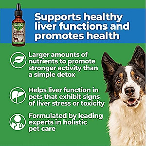 Animal Essentials Liver Defense Liver Support for Dogs & Cats, 1 fl oz - Made in USA, Dandelion & Milk Thistle