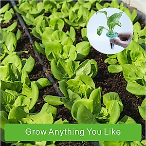 XFVFXZZ 121 Pcs Seed Pods Kit Compatible with Aerogarden, Suitable for Hydroponics Growing System for a Variety of Plants, Outdoor and Indoor Hydroponics Supplies