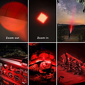 RaySoar (Pack of 4) 4 Color Light Single Mode Flashlight: Red Light Flashlight, Green Light Flashlight, Blue Light Flashlight, Cool White Light Flashlight for Night Observation, Hunting, Fishing