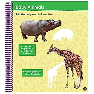 Brain Games - Sticker by Number: Safari Animals (For Kids Ages 3-6): A Kid's Sticker Activity Book With More Than 150 Stickers!