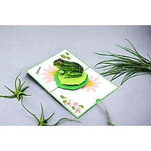 Rykamia Green Frog Pop Up Card, Blank Frog Card With Envelop, Frog Birthday Card, Frog Card for Kids, Frog Gift, Just Because, Get Well Soon, Frog Thank You Card, Frog Card For Mom, Wife, Daughter