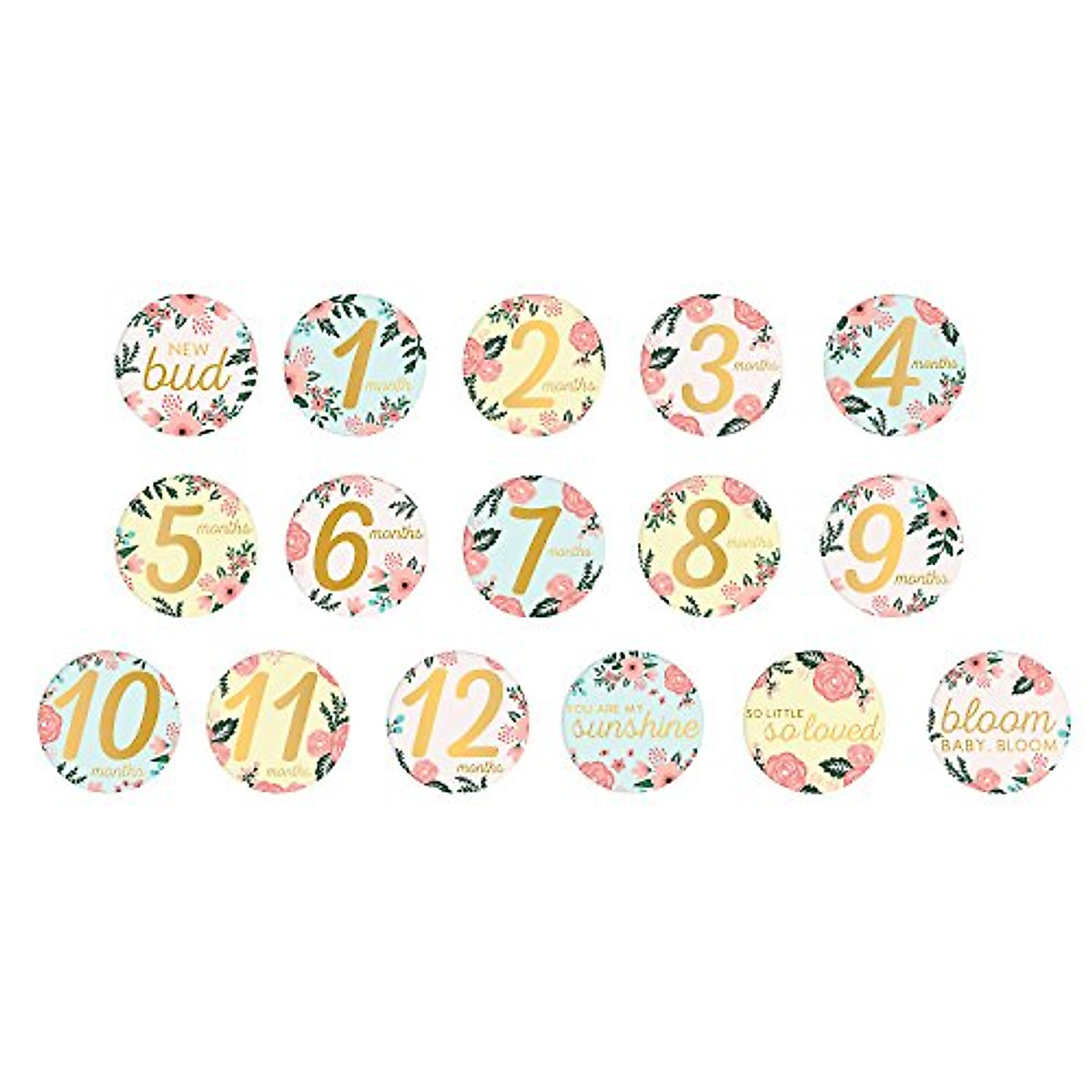 Pearhead Memory Book with Included Baby Belly Stickers, Modern Baby First Year Journal, Babys First Year, Baby Shower, Floral 17 Piece Set