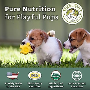 Wholistic Pet Organics Puppy Vitamins - 8 Oz - Coat Support Powder for Dogs, Dog Itching Skin Relief Powder, Skin and Coat Supplement with Omega 3