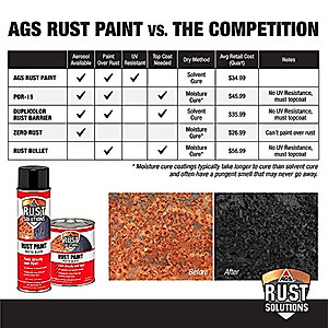 AGS RUST SOLUTIONS Rust Spray Paint, 14 Ounces, Matte Black Finish