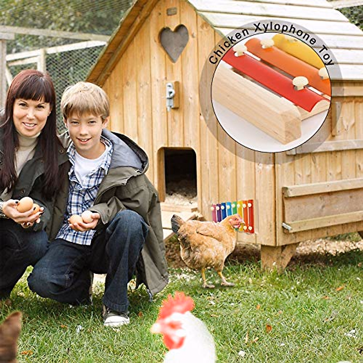 Chicken Xylophone Toy Hanging Chicken Pecking Toys 8 Metal Keys Suspensible Wood Xylophone Toy Suitable for Chicken Coop Hens Parrot Medium and Large Birds