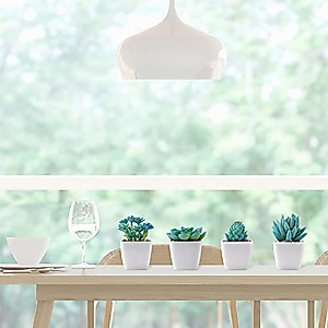 CQURE Succulents Plants Artificial, Set of 4 Mini Artificial Succulents Desk Plant Faux Succulents in Pots Fake Succulents Plant Decor Plastic