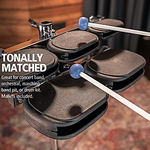 Meinl Percussion Synthetic Temple Blocks with Steel Frame, Five Pitches from Low to High, 2-Year Warranty (TMSTB)