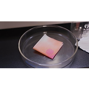 FentDetect Fentanyl Detection Wipes for Drug Testing, Microfiber, Pack of 4
