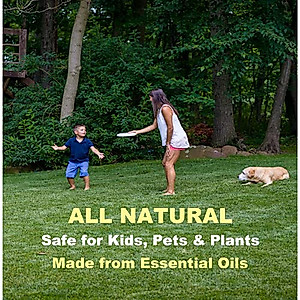 Kills Ticks & Mosquitoes on Contact. All Natural Outdoor Insecticide Spray Repels up to 30 Days. Safe Insect Control for Kids, Dogs, Plants – Easy & Ready to Use – Eco Innovations, EcoGuard Plus, 8 oz