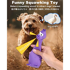 SCHITEC Squeaky Dog Toys, [2 Pack] Squawking Latex Toy with Interactive Squeaker, Squeak Rubber Duck Chicken for Medium Small Dogs