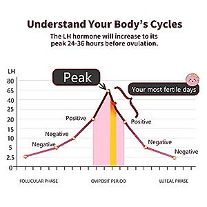 DAVID 50 Ovulation Test Strips, Ovulation Predictor kit, Fertility Test for Women, 50 Free Urine Cup, Fertility Tracker Kit, Accurate Results - 50 Count, LH Test, EXP 10-30-2023