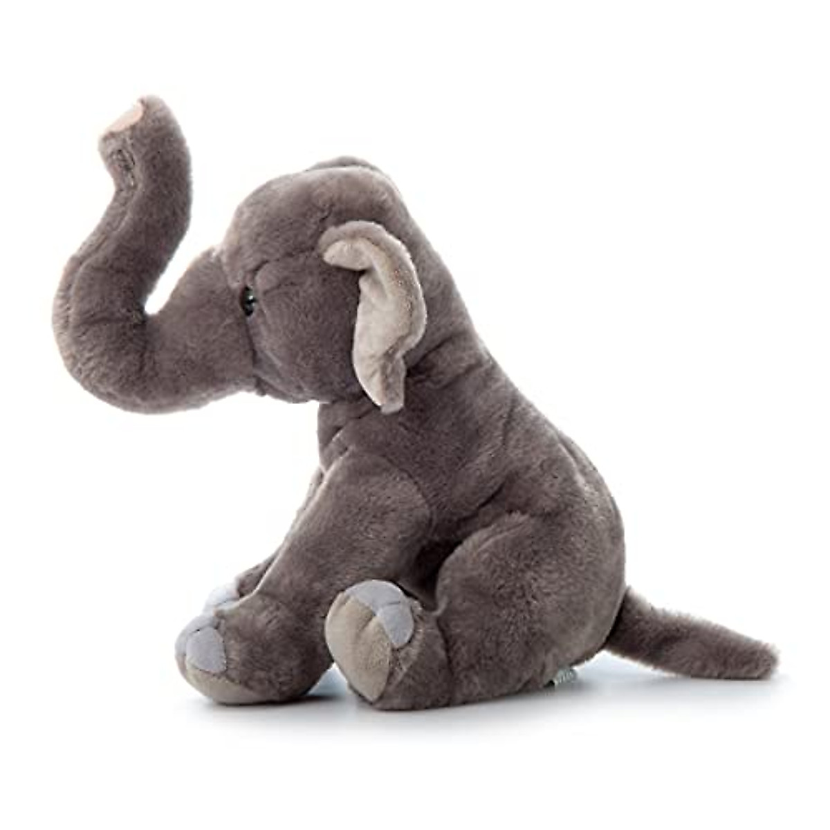The Petting Zoo Asian Elephant Stuffed Animal, Gifts for Kids, Wild Onez Zoo Animals, Asian Elephant Plush Toy 12 inches