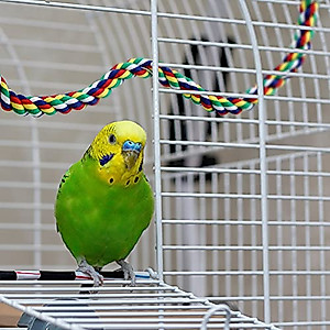 Weewooday 2 Pieces Toy Bird Rope Perches Climbing Rope Bungee Bird Toys Rope Perch Stand Cage Rope Comfy Perch Parrot Toys for Parrot, Parakeets Cockatiels, Conures (21.6 Inch)