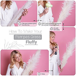 Tall 45" Pampas Grass - Large Naturally Dried Pampas Grass Decor - Avoid Small Faux or Artificial Pompas Grass or Palm Leaves - Beautify Home or Event with Natural Floral Plumes (Marshmallow Cloud)