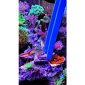 Aquarium Choice Coral Feeder Long Syringe Reef Feeder SPS HPS Marine Reef Coral Feeder Tool Fish Excreta Cleaner (11.8 inch Coral Tweezers Never Rust)