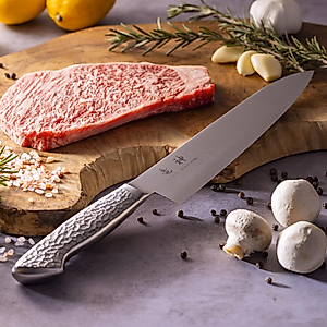 竜神 (RYUJIN) Professional Japanese chef knife Gyutou Knife 210mm [OMOTENASHI Selection 2023 Best Gold Award Winner] Made in Japan Tsubame Sanjo Stainless Steel Integrated Daishin Sangyo [Ryujin Knife]