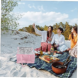 ULTECHNOVO Insulated Bag Packing cake insulation bag delivery bag for food food delivery bag for cake food delivery bag with handle insulated bag Non-woven bags food bag seafood