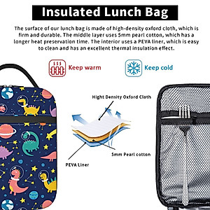 Dinosaur Dino Fun Lunch Bag Insulated Lunch Box Reusable Lunchbox Waterproof Portable Lunch Tote For Men Boys