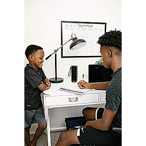 LG PuriCare Mini – Small Lightweight Ultra Quiet Portable Air Purifier for flitering ultra-fine dust and small particles in the Home Bedroom Office Airplane Train Car or On the Go, Black (AP151MBA1)