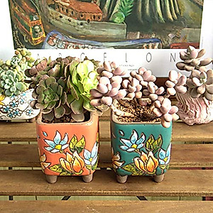 Summer Impressions 4.88 Inch Tall Hand Painted Square Succulent Planter Cactus Planter Pot Bonsai Pot Clay Pot Flower Pot Floral Design Indoor Outdoor Pack of 2 (Tall Square Orange and Green)