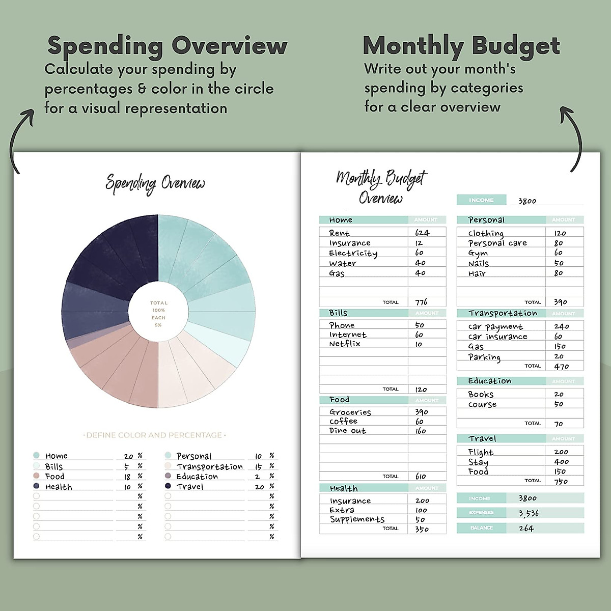Budget Planner and Monthly Bill Organizer - Financial Planner –12-Month Budget Organizer, Budget Book Planner - Income and Debt Tracker Planner, Business Expense Tracker Notebook and Bill Planner