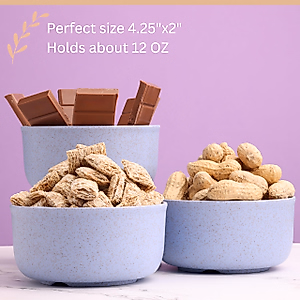 Wheat Straw Bowls Set of 4 Lightweight Reusable Plates - Microwave & Dishwasher Safe - Wheat Straw Dinnerware Sets - Cereal Bowl - Ramen Bowl Set - Soup bowls - Salad Bowl - Fruit Bowl