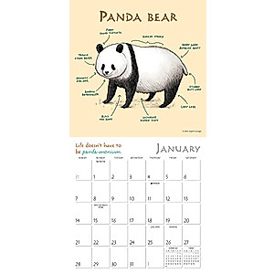 Be Your Best You 2024 Mini Calendar: Celebrate What Makes Ewe Unique — Illustrations by Sophie Corrigan, 7" x 7"