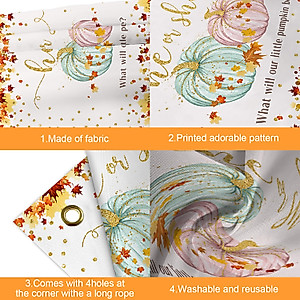 MEHOFOND XtraLarge Pumpkin Gender Reveal Banner Backdrop(72x44Inch) Fall Pumpkin Baby Shower Party Decorations Supplies Thanksgiving Baby Shower Banner Autumn Golden Maple Leaves Party Decorations