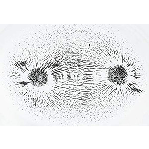 Bulk Iron Filings- 1 LB Iron Filings for Science Experiments, by American Heritage Industries