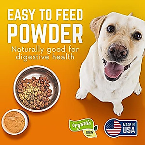 BACK 40 Dogs Pumpkin Powder for Dogs, Powdered Pumpkin for Dogs with Vitamins A, C & E, Fiber-Rich Vitamins for Optimal Pet Health, Combat Constipation, Dog Multivitamin for Digestive Health, 8.1 oz