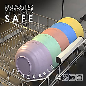 DINETHICS 60 OZ 6 Big Bowl Set - Wheat Straw Bowls - Unbreakable Microwave Safe Bowls - Large Cereal Bowl - Salad Bowls Large Serving Bowls For Kitchen -Bowls For Family Movie Night (Coral)