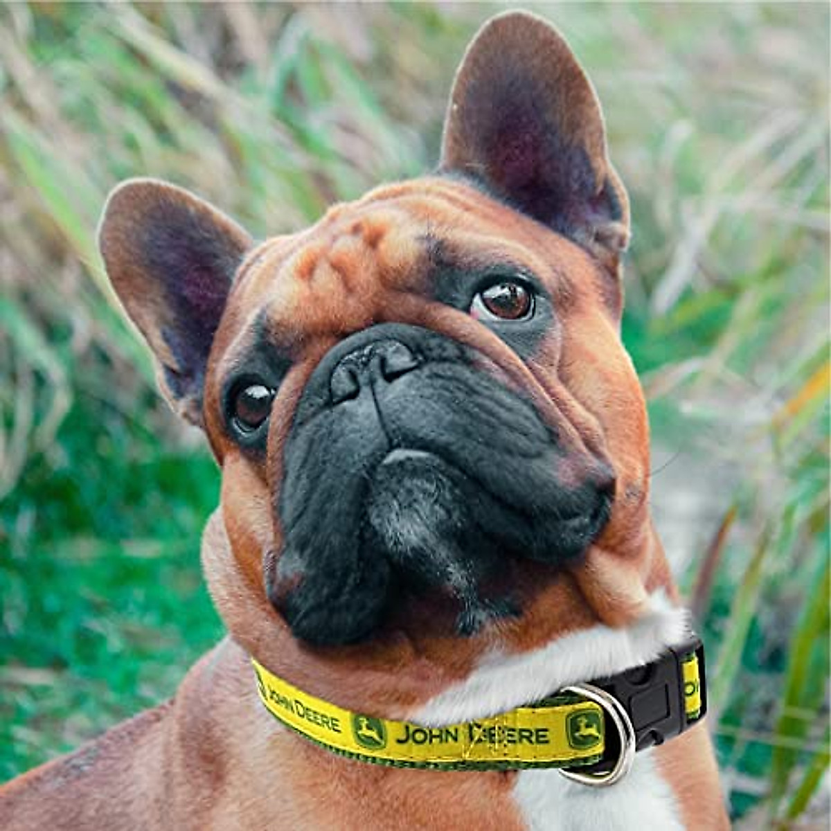 Pets First John Deere Pet Collar. Licensed Dog Collar, Large Collar for Dogs & Cats. A Shiny Colorful Cat by All Farmers, Contractors, Fans of Tools (JOD-3588-LG)