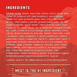 Stella & Chewy's Wild Red Dry Dog Food Raw Coated High Protein Wholesome Grains Prairie Recipe, 3.5 lb. Bag