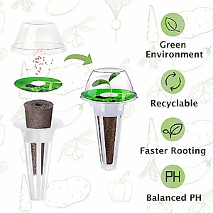 Ruzzut 120PCS Seed Pods Kit for Hydroponic Growing System,Hydroponics Garden Accessories for AeroGarden,Grow Anything Kit with 30 Grow Sponges for Indoor&Outdoor Seed Starting Supplies