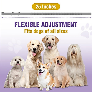 IPOTAO Relief Anxiety Stress Separation, Calming Collar for Dogs, Pheromones Calm Lasts 60 Days, Relieve Bad Behavior, Adjustable Fit All Small Medium and Large Dog Pheromone Collars, White