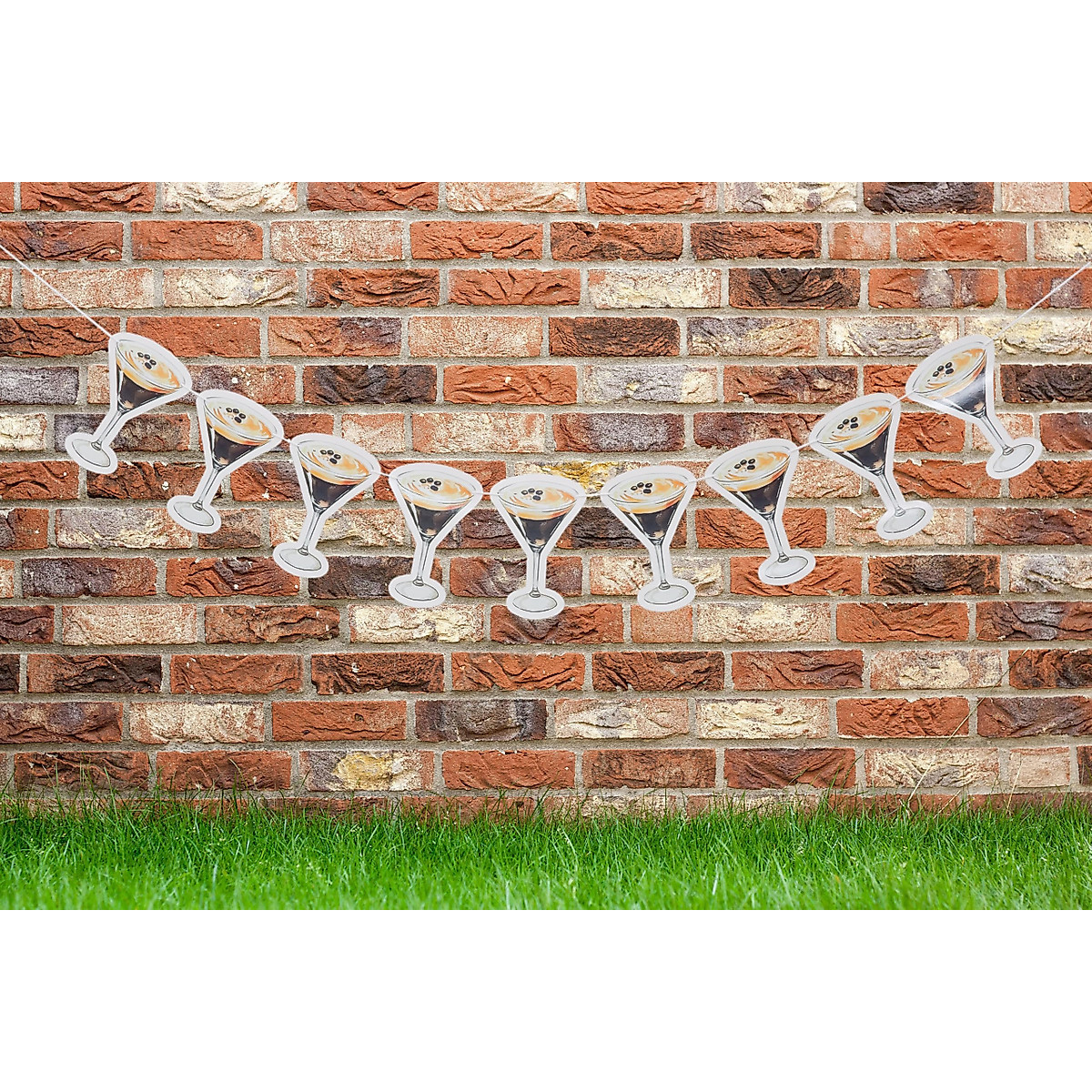 Espresso Martini Party Banner,Espresso Martini Theme Bachelorette/Birthday Party Decorations, Martini Bar Party Decor,Cocktail Party Decorations,A Tini Bit Older,Weenies & Tinis Theme Party Supplies