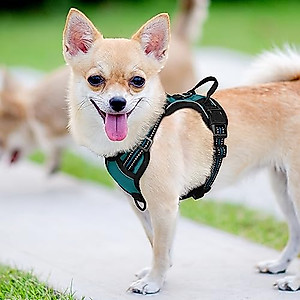 rabbitgoo Dog Harness, No-Pull Pet Harness with 2 Leash Clips, Adjustable Soft Padded Dog Vest, Reflective No-Choke Pet Oxford Vest with Easy Control Handle for Small Dogs, Blue Coral, XS