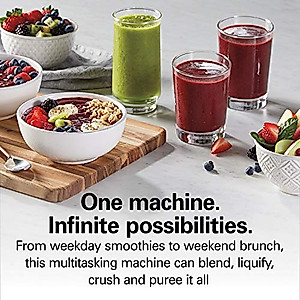 Hamilton Beach PowerMax Professional-Performance Blender for Shakes and Smoothies, Puree and Ice Crush, 48oz BPA-Free Glass Jar, 1680 Watts, Stainless Steel Blades (58600)