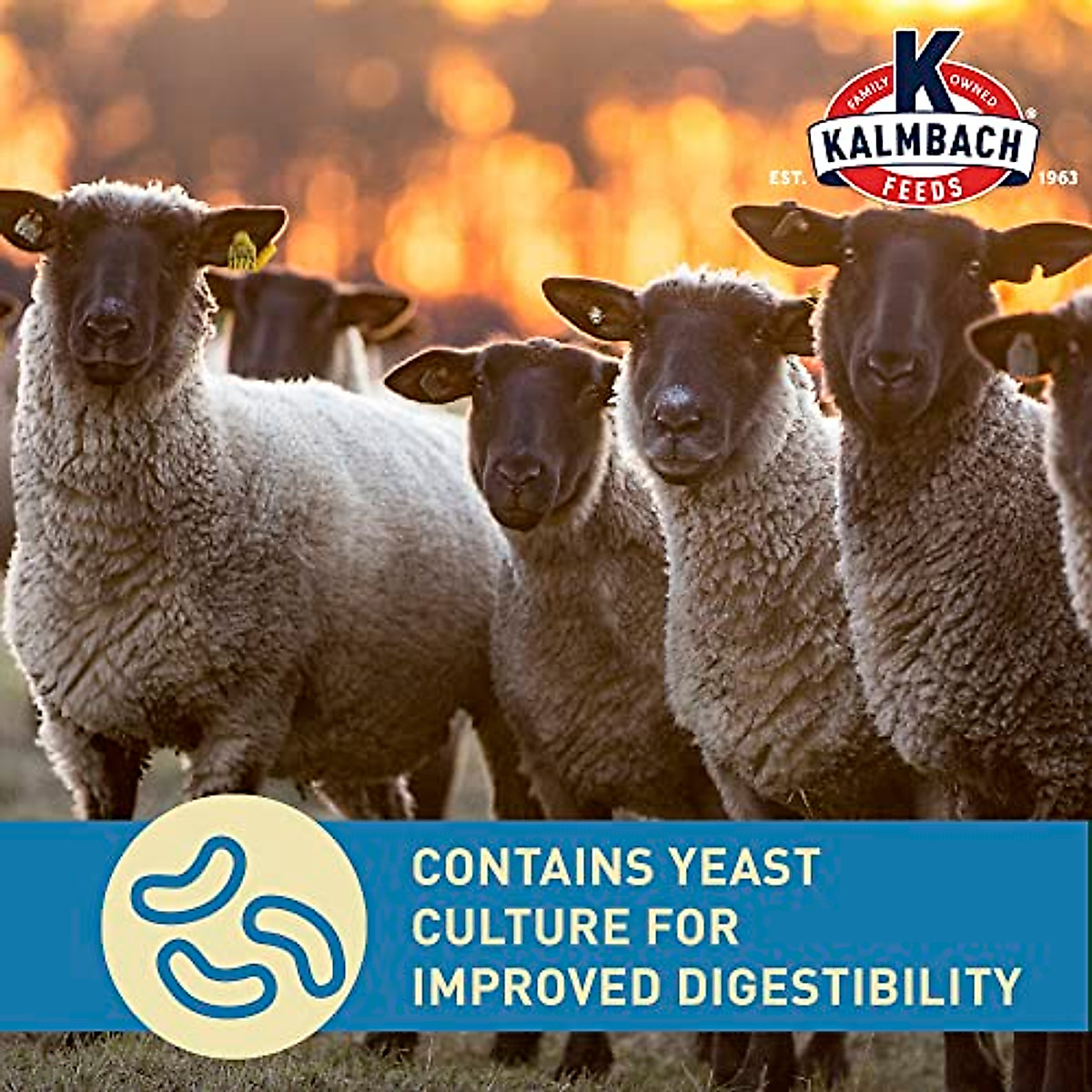 Kalmbach Feeds Medicated Ewe Builder Pelleted Feed for Sheep, 50 lb Bag