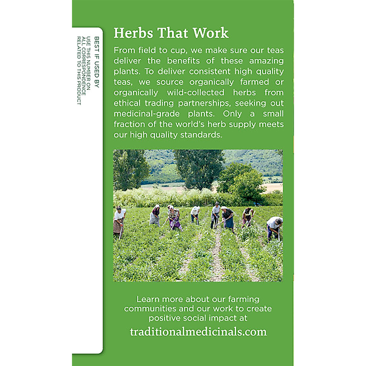 Traditional Medicinals Organic Green Tea Peppermint Herbal Tea, Alleviates Digestive Discomfort, (Pack of 3) - 48 Tea Bags Total