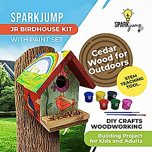 SparkJump Jr Birdhouse Kit | Cedar Wood for Outdoors | with Paint Set | Bird Feeder | DIY Crafts Woodworking Building Gardening Project for Kids, Adults, Family