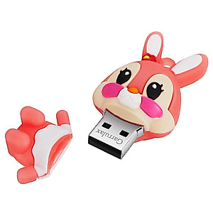 GARRULAX USB Flash Drive, 8GB / 16GB / 32GB USB2.0 Cute Animal USB Memory Stick Date Storage Pendrive Thumb Drives for Kids Children Collegue Student(32GB, Rabbit)