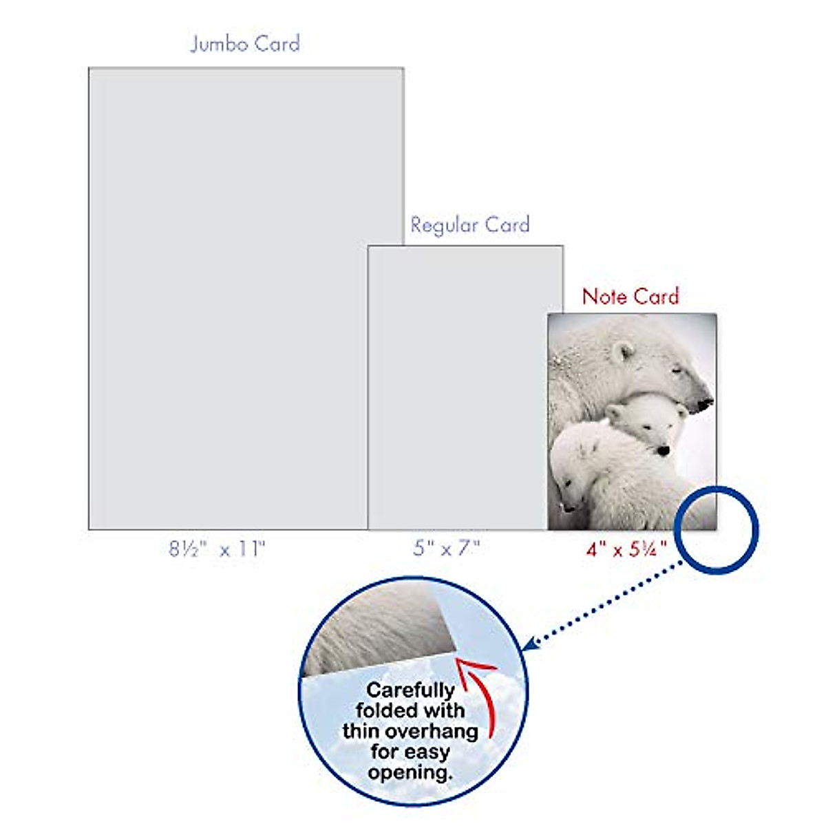 The Best Card Company - 10 Assorted Blank All Occasions Notes Box Set 4 x 5.12 Inch with Envelopes (10 Designs, 1 Each) Boxed Assorted Kid Cards of Pets - Bear Hugs AM6327OCB-B1x10