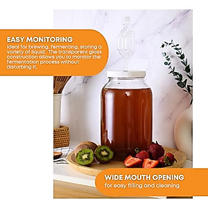 FastRack 4X-QAD4-R06S One gal Wide Mouth Jar with Lid and Twin Bubble Airlock, Clear