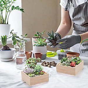 Frcctre 8 Pack Unfinished Wooden Box, 6 x 6 Inch Square Rustic Wooden Box Storage Organizer Box Small Wooden Box for Crafts, Centerpiece, Home Decor, Storage, Collectibles, Succulent, Drawer